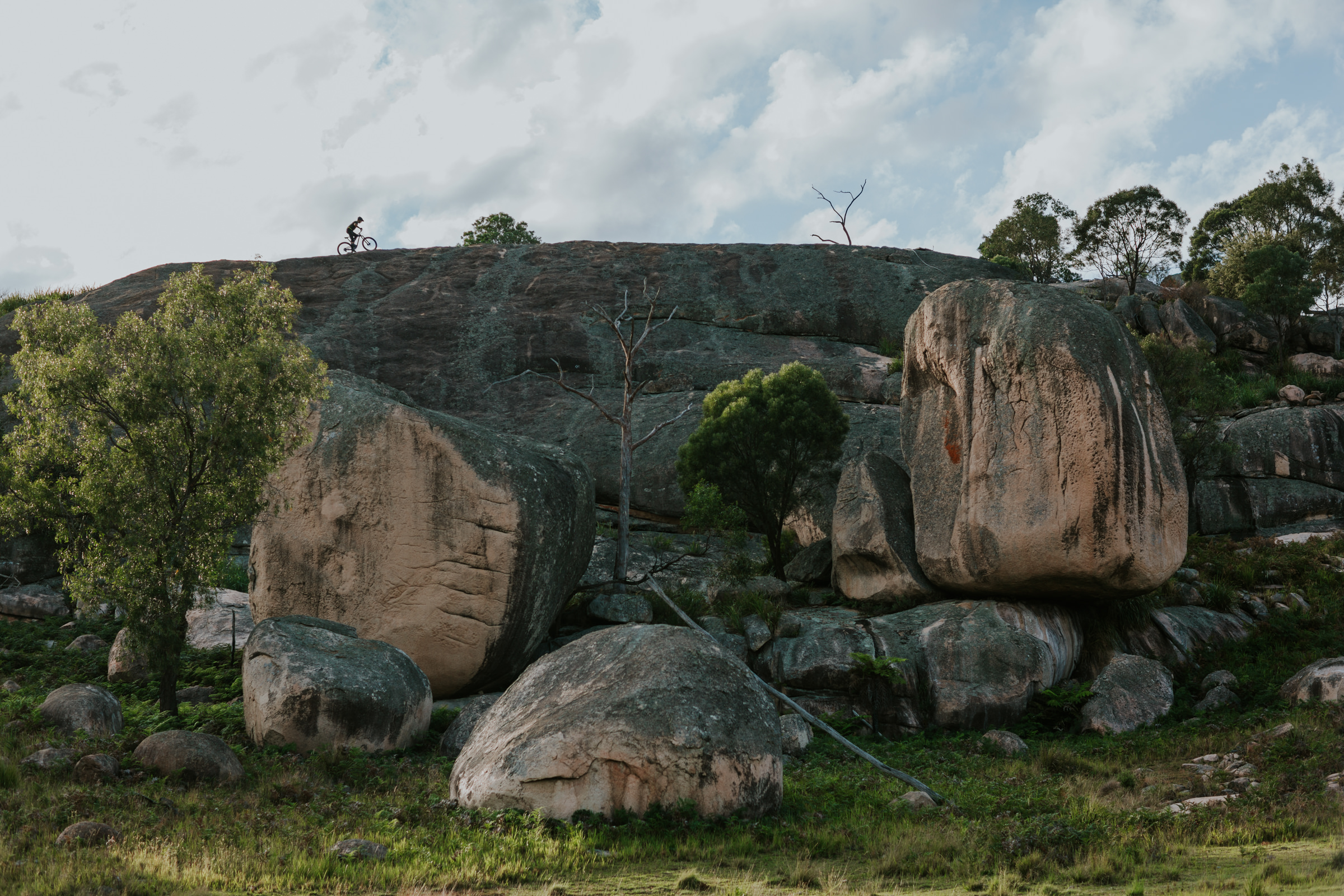 Long Weekend at Tenterfield - Still Wild Love