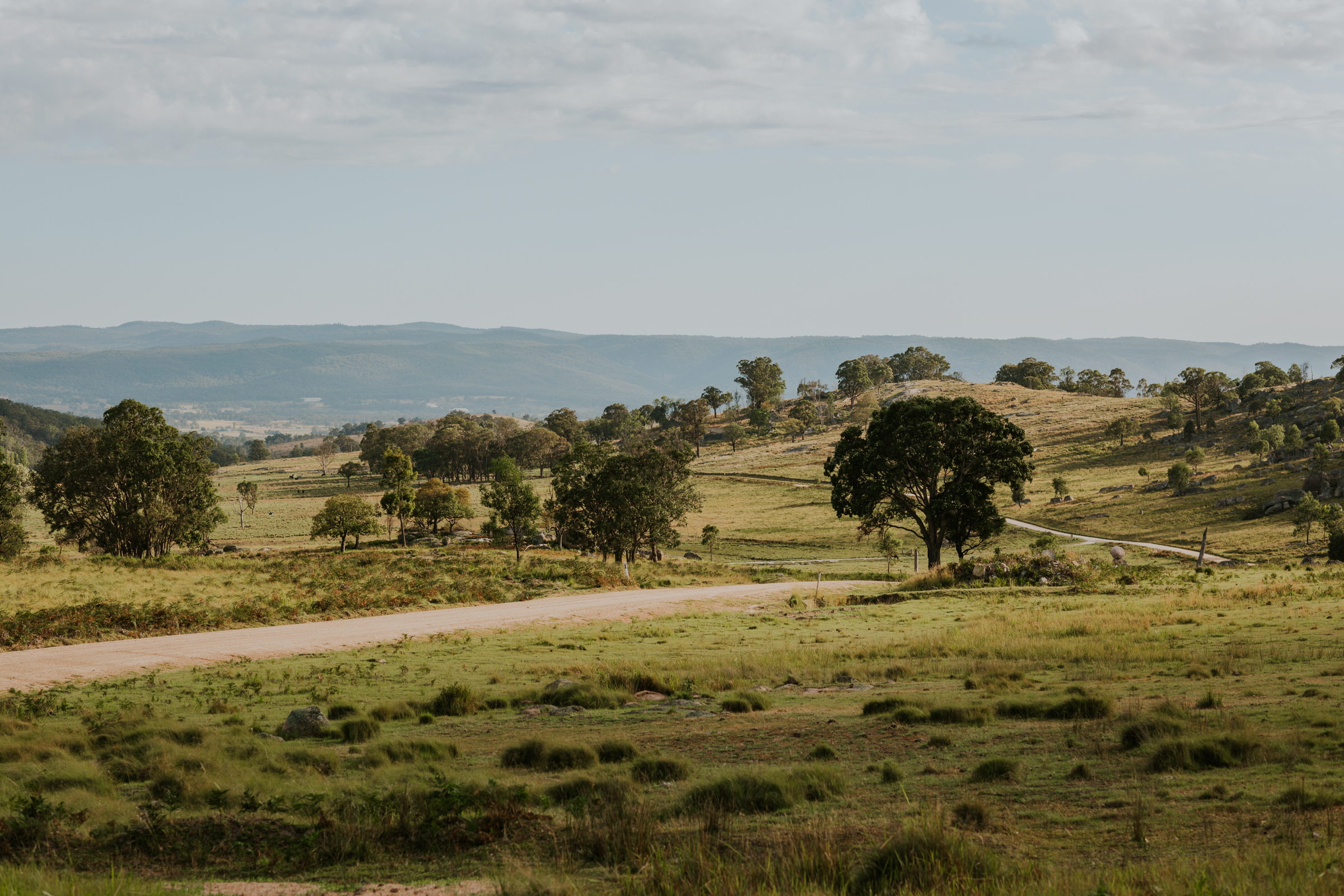 Long Weekend at Tenterfield - Still Wild Love